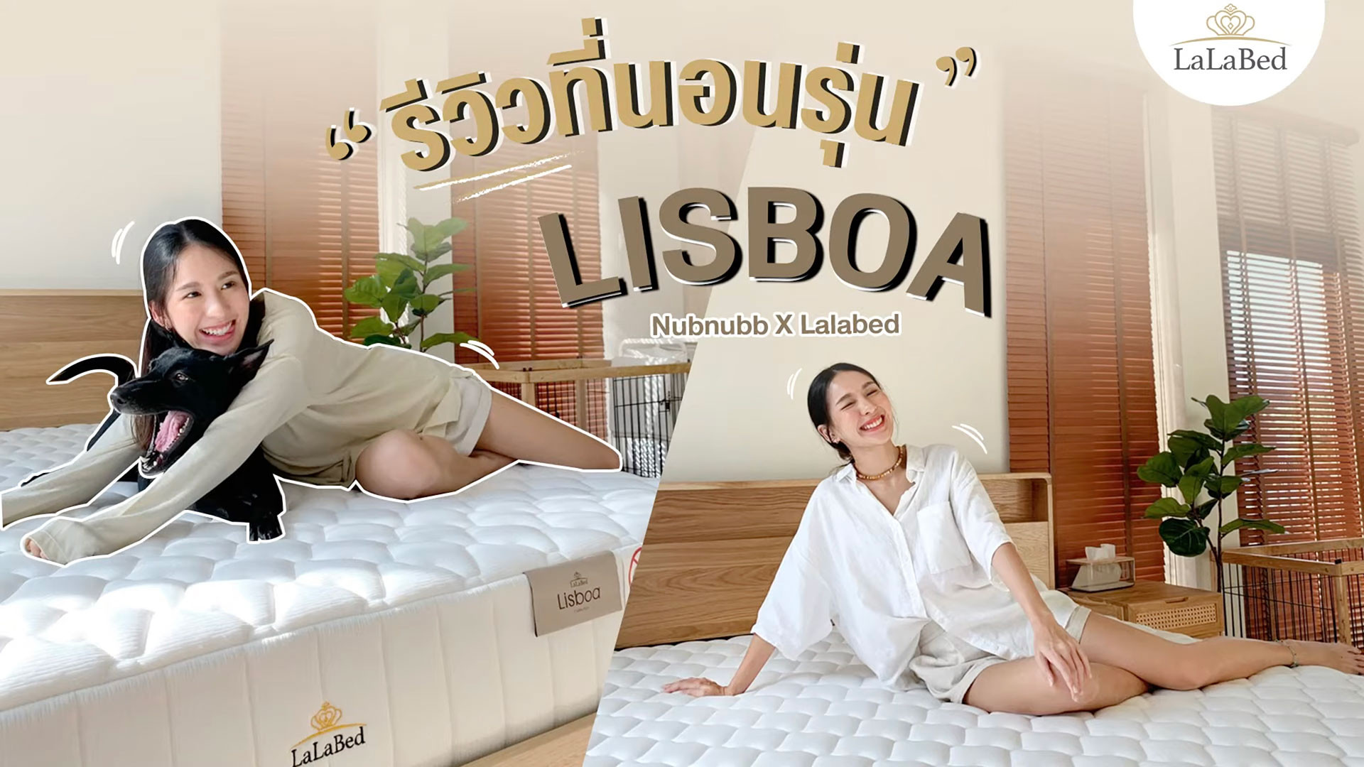 แบรนด์ที่นอน Lalabed แบรนด์ที่นอน Lalabed